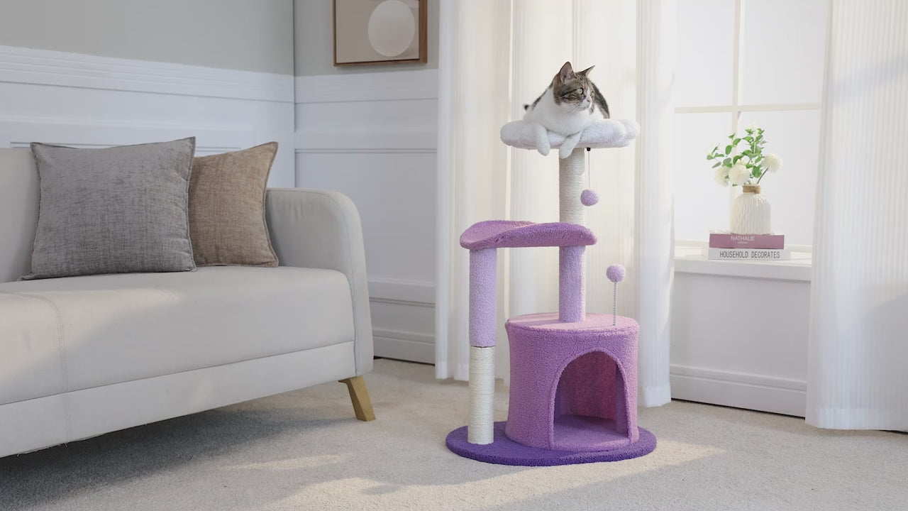Feline Oasis Cat Tree: Original Design for Your Original Cat – petzeal